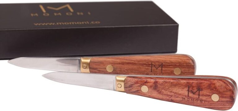 10 Best Oyster Knives [2025]