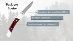 Buck 501 vs Buck 503: Size, Weight & Carry [2025]