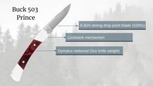 Buck 501 vs Buck 503: Size, Weight & Carry [2025]